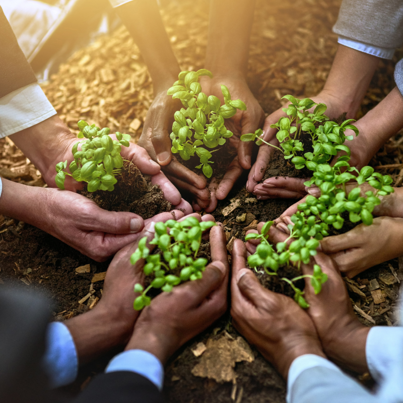 Local Voices, Lasting Impact: Nonprofit Sustainability Insights | Field ...